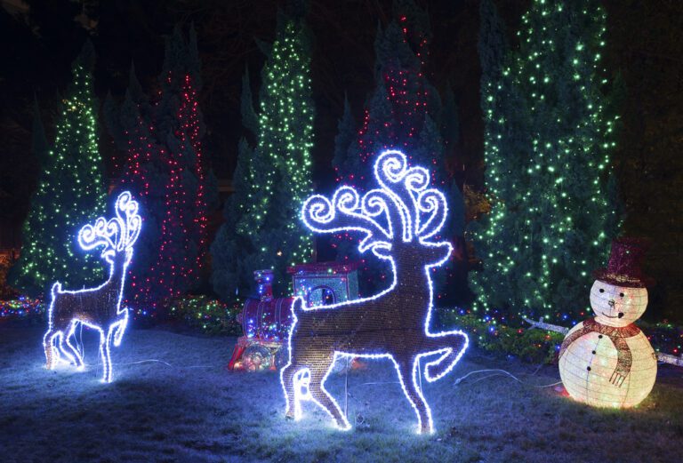 Value of Hanging Logan Holiday Lights and Decorations Early | Logan ...
