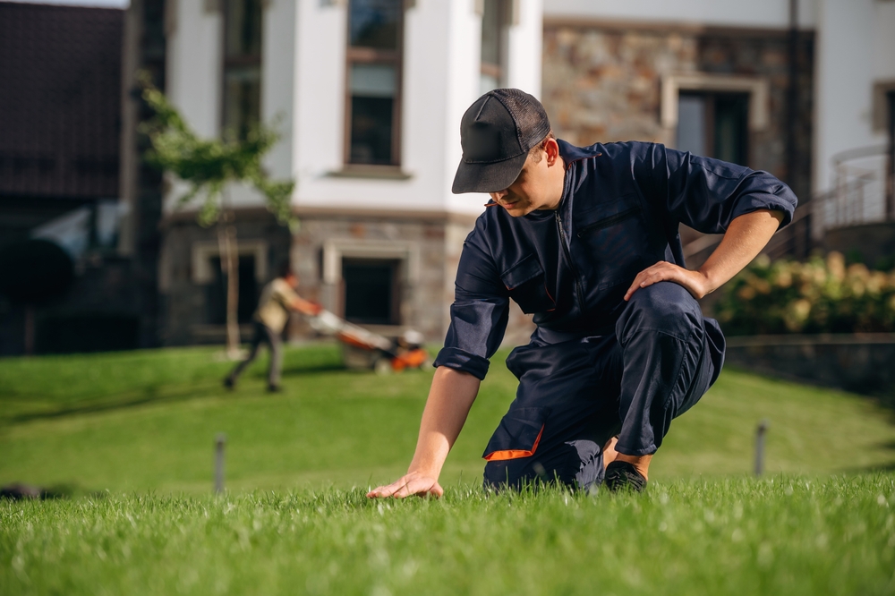 How Proper Lawn Care Improves Your Home’s Curb Appeal